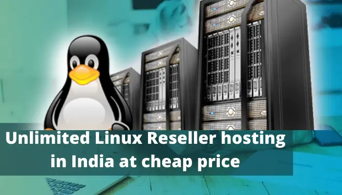 Benefits of Unlimited Linux Reseller Hosting in India